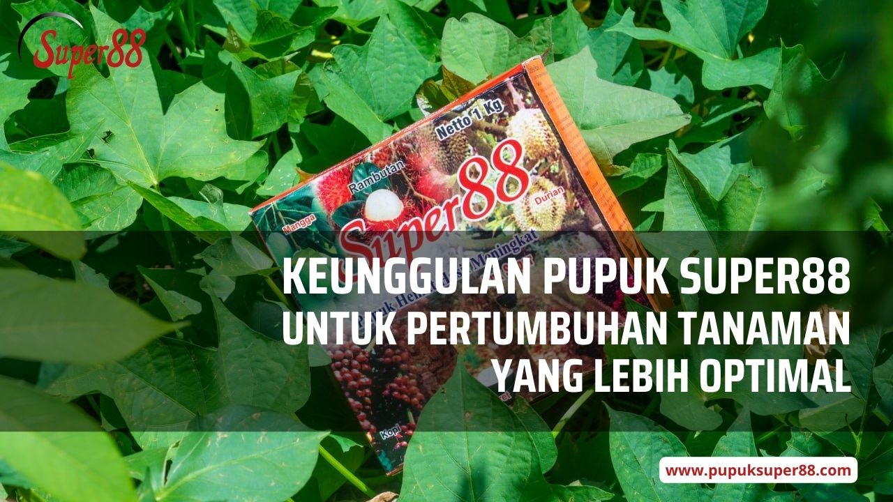 Keunggulan Pupuk Super88 untuk Pertumbuhan Tanaman yang Lebih Optimal - Pupuk Super88